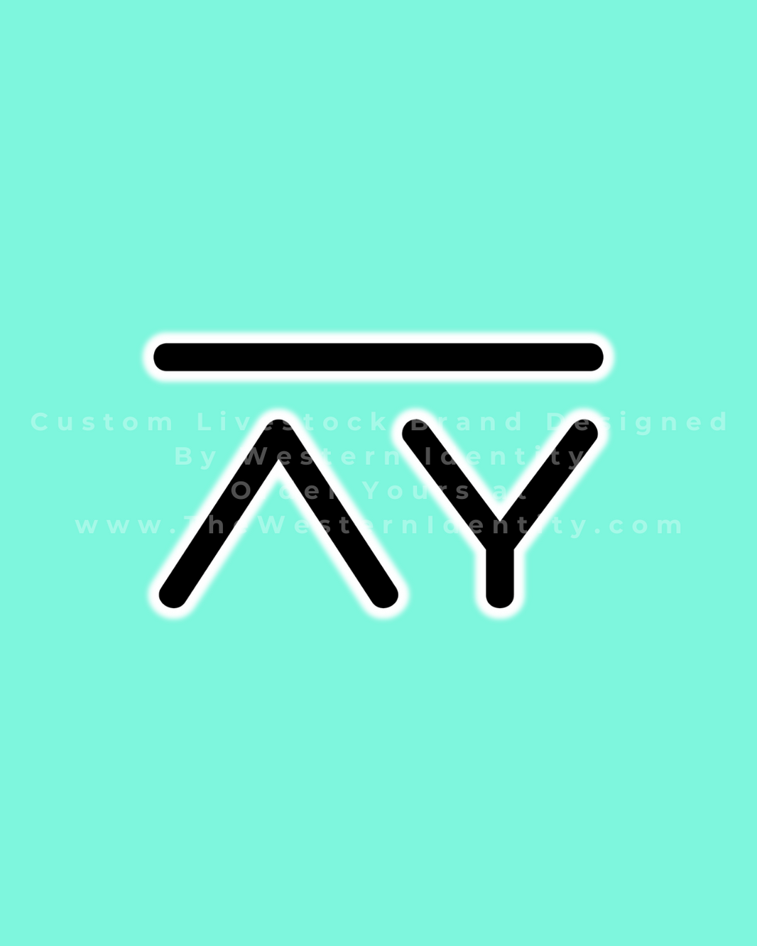 Ready-Made Brands – Western Identity